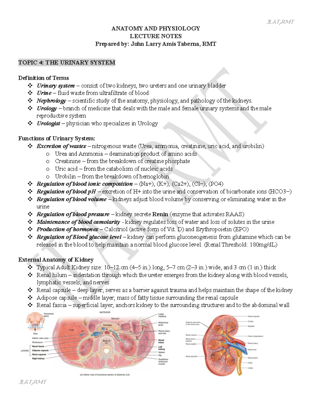 Urinary- System - Provide me a accurate that the same With my ...
