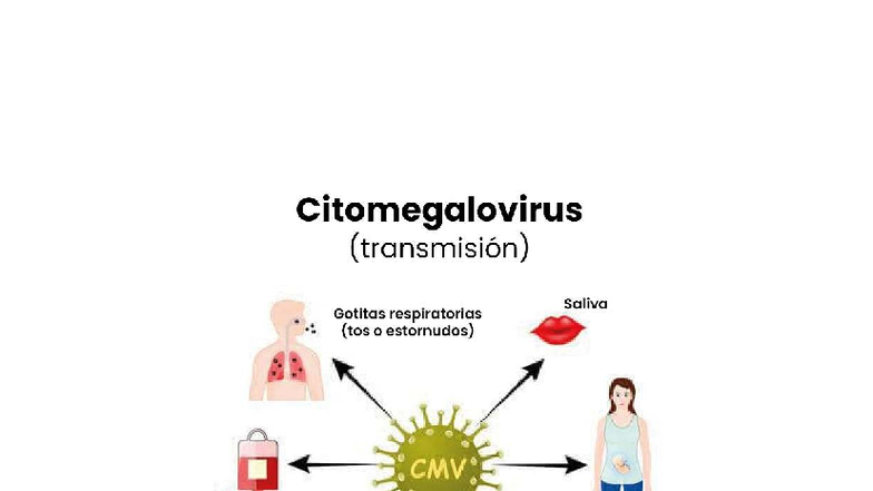 Triada CMV: Transmisión y Efectos en Infecciones Congénitas - Studocu