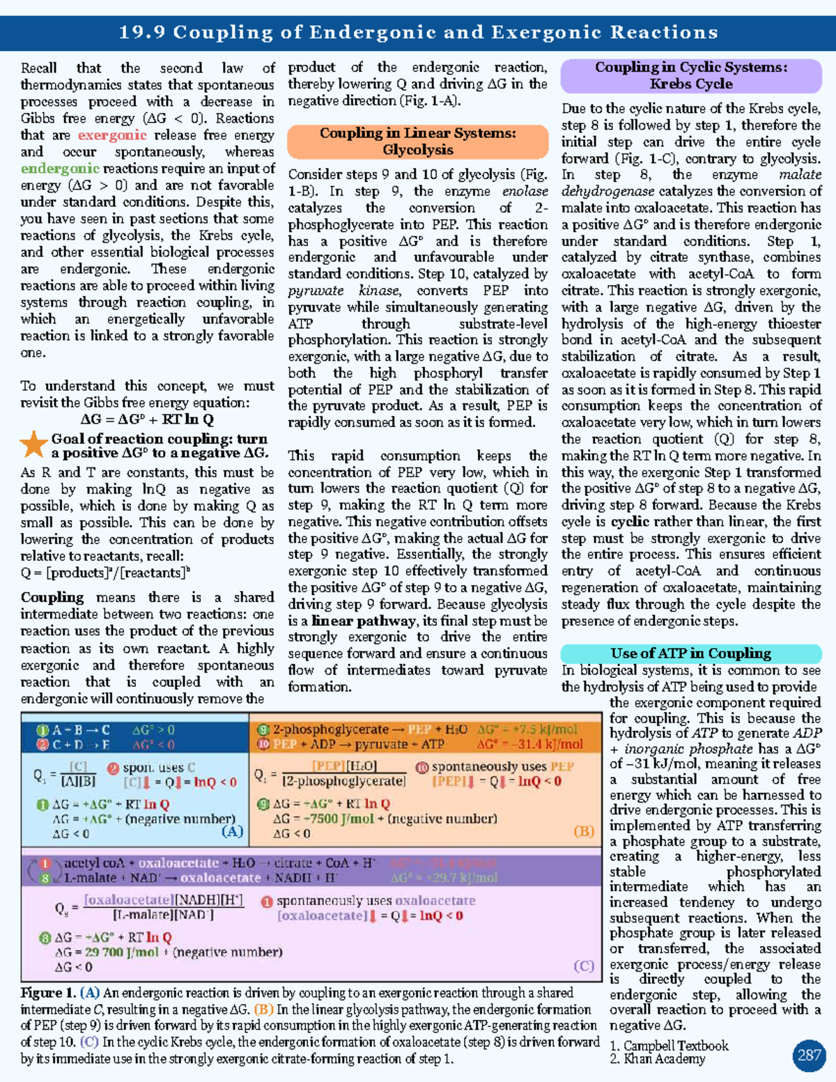 BIOL 2020 Peer Reviewed Assignment: Coupling of Reactions in Metabolism ...