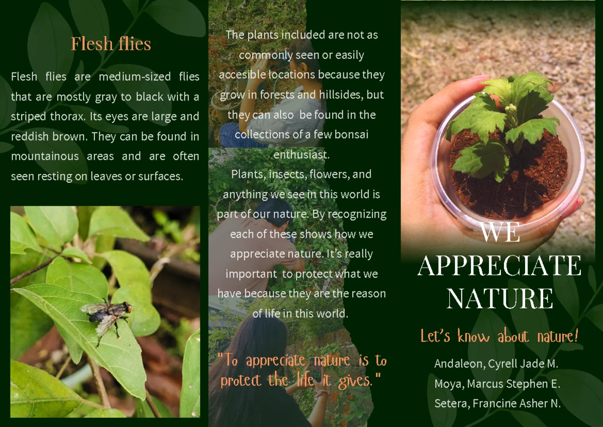 Appreciate Nature: Insights on Flesh Flies and Plant Habitats - Studocu