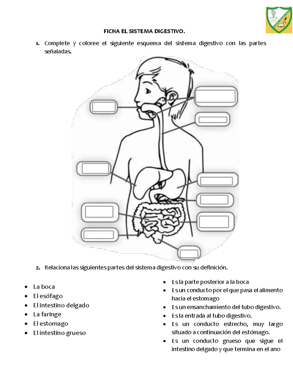 Ficha el sistema digestivo - FICHA EL SISTEMA DIGESTIVO. 1. Complete y ...