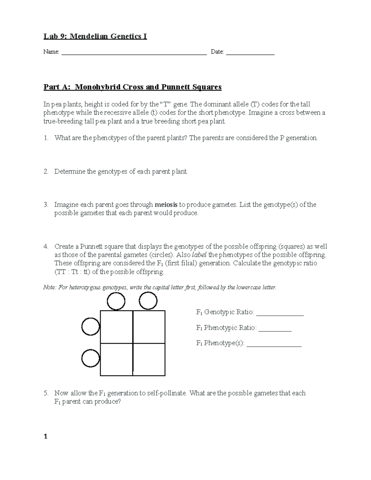 Lab 9 (Biol 101) Assignment: Monohybrid & Dihybrid Cross Analysis - Studocu