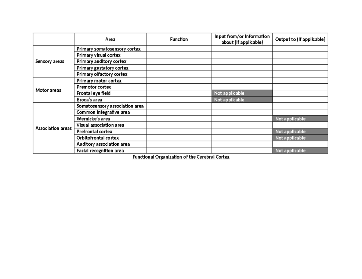 Functional Organization of the Cerebral Cortex Table Worksheet - Area ...