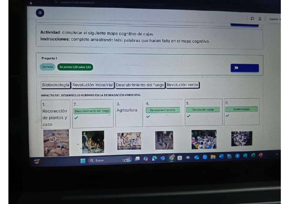 Actividad 1: Mapa Cognitivo sobre Impacto Humano en el Ambiente - Studocu