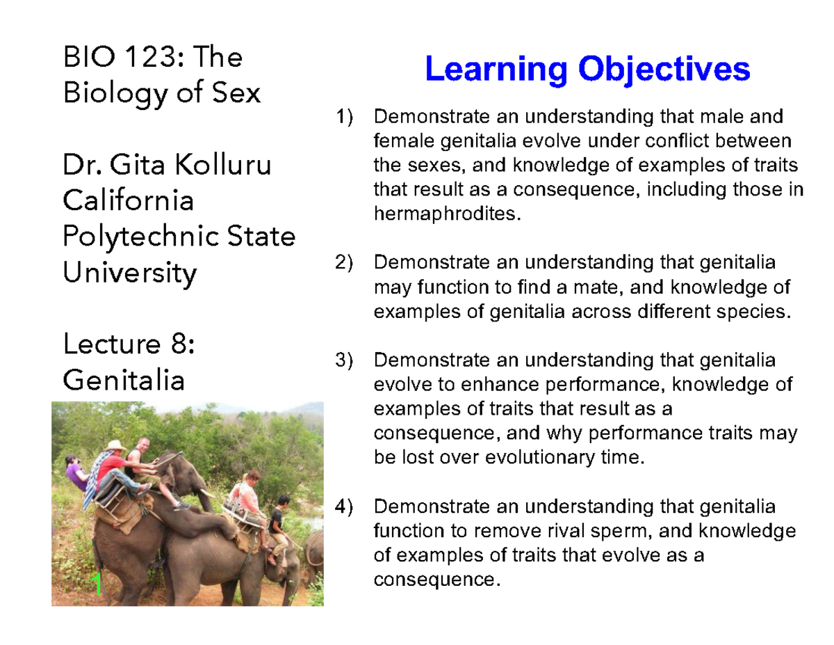BIO 123 Lecture 8: Evolution of Genitalia & Sexual Conflict - Studocu