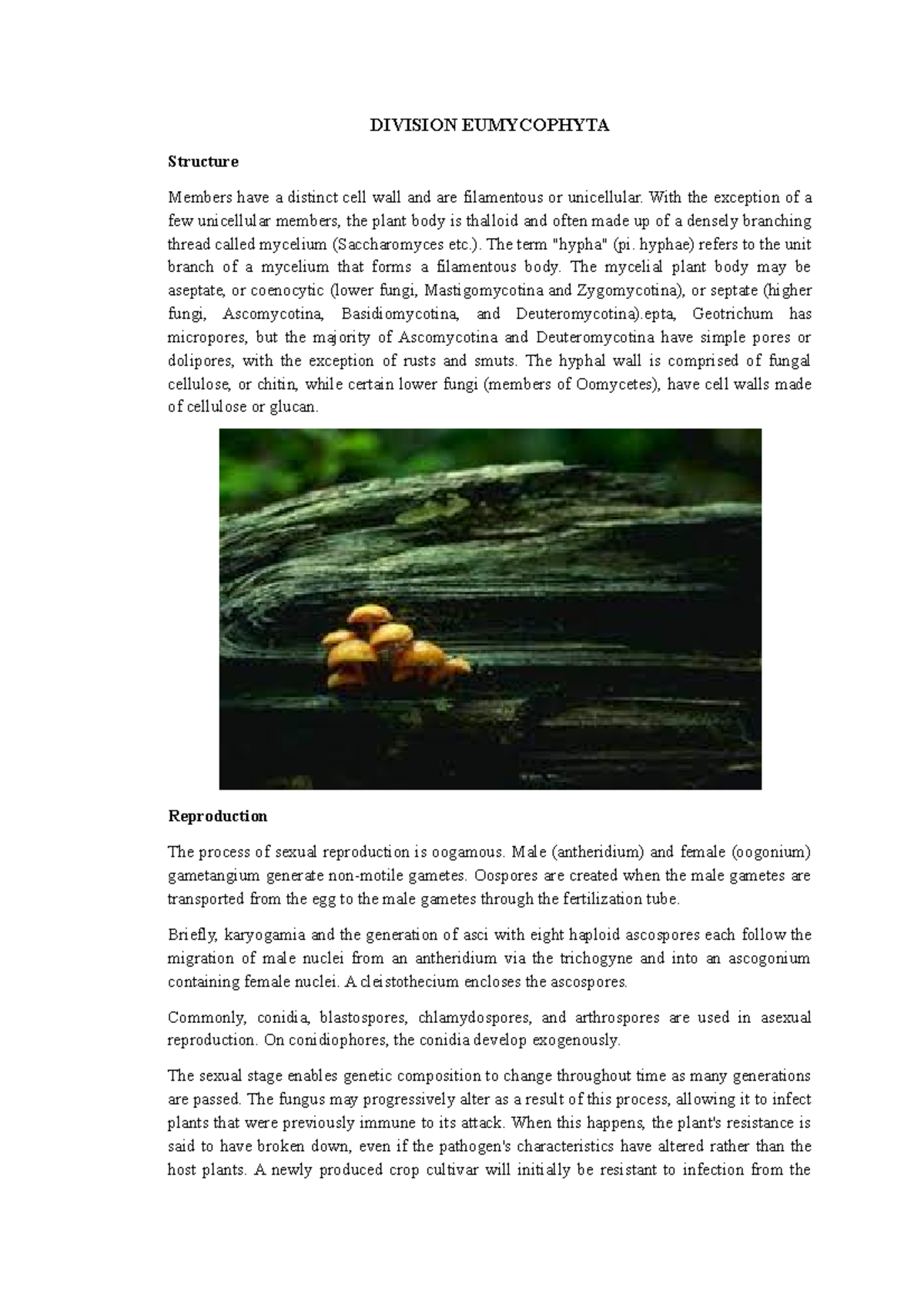 1 - Botany - Eumycophyta Classification and Importance to Ecosystems ...