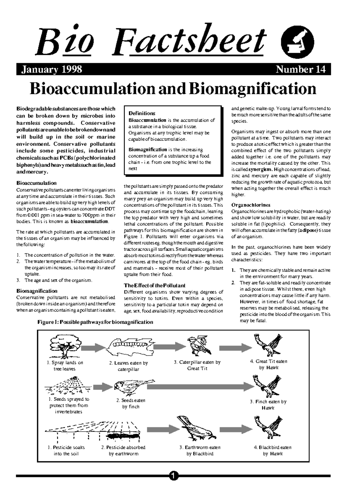 8303861 14 Bioaccumulation and Biomagnification Factsheet - Studocu