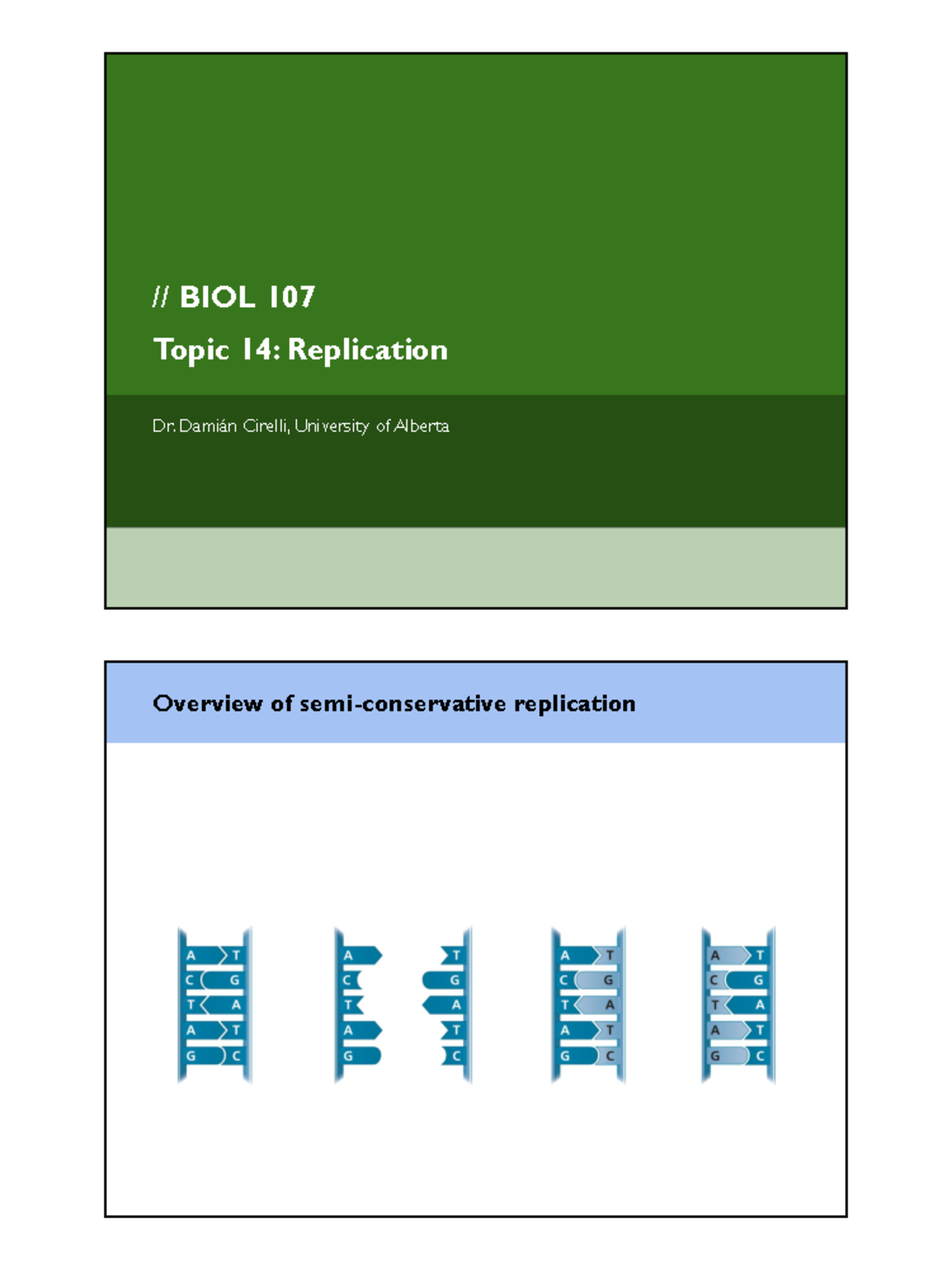 BIOL 107: Topic 14 - Overview of DNA Replication Mechanisms - Dr ...