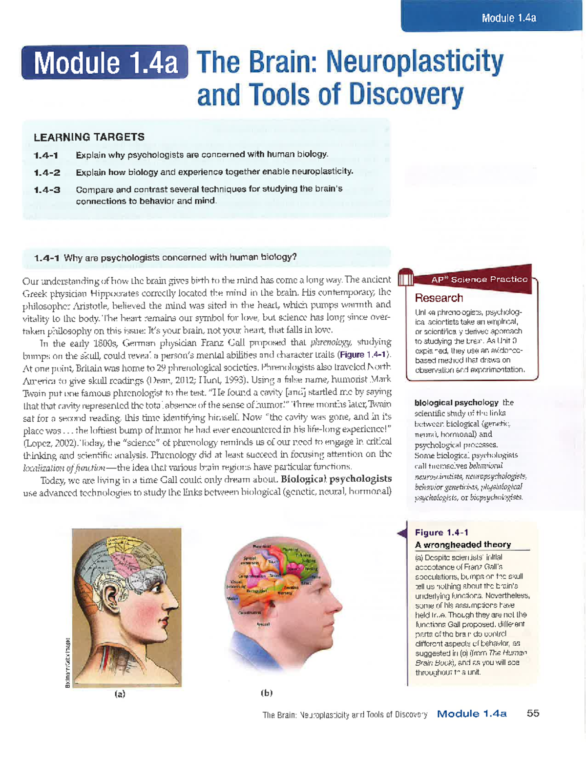 Final Exam Study Guide: Neuroplasticity & Brain Discovery (ABC123 ...