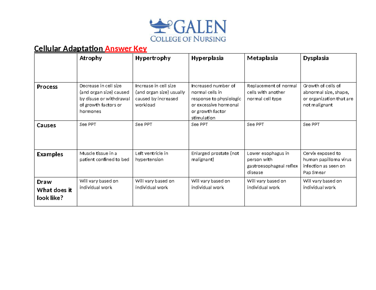 Cellular Adaptation Answer Key: Atrophy, Hypertrophy, Hyperplasia ...