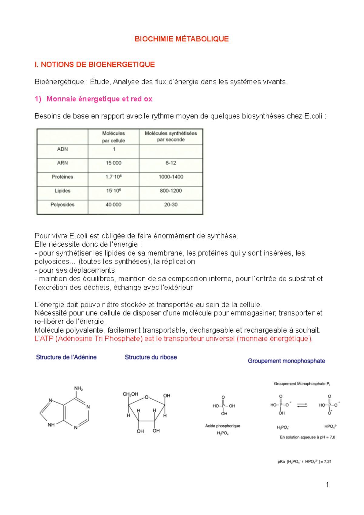 CM 1, 2, 3, 4, 5, 6 - Biochimie Métabolique L2 Semestre 3 Cours Complet ...