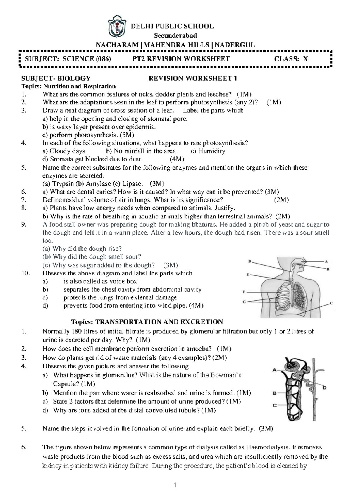 Biology PT2 Revision Worksheet for Class X (086) - Nutrition ...