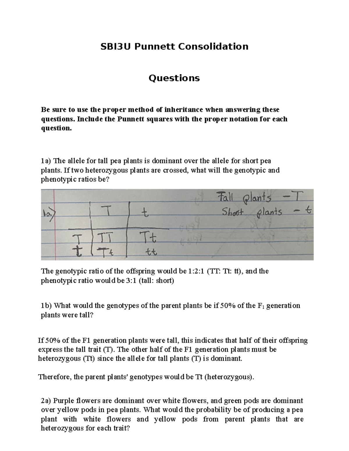 SBI3U Punnett Squares Assignment: Genetic Inheritance Analysis - Studocu