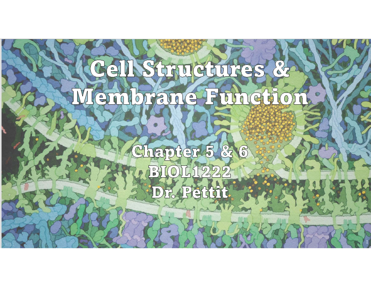 3- Cell Structures & Membrane Function - Chapter 5, 6 Outline - Studocu
