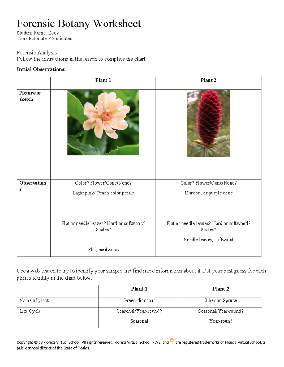 Forensic Botany Worksheet (02 05): Plant Identification Guide - Studocu