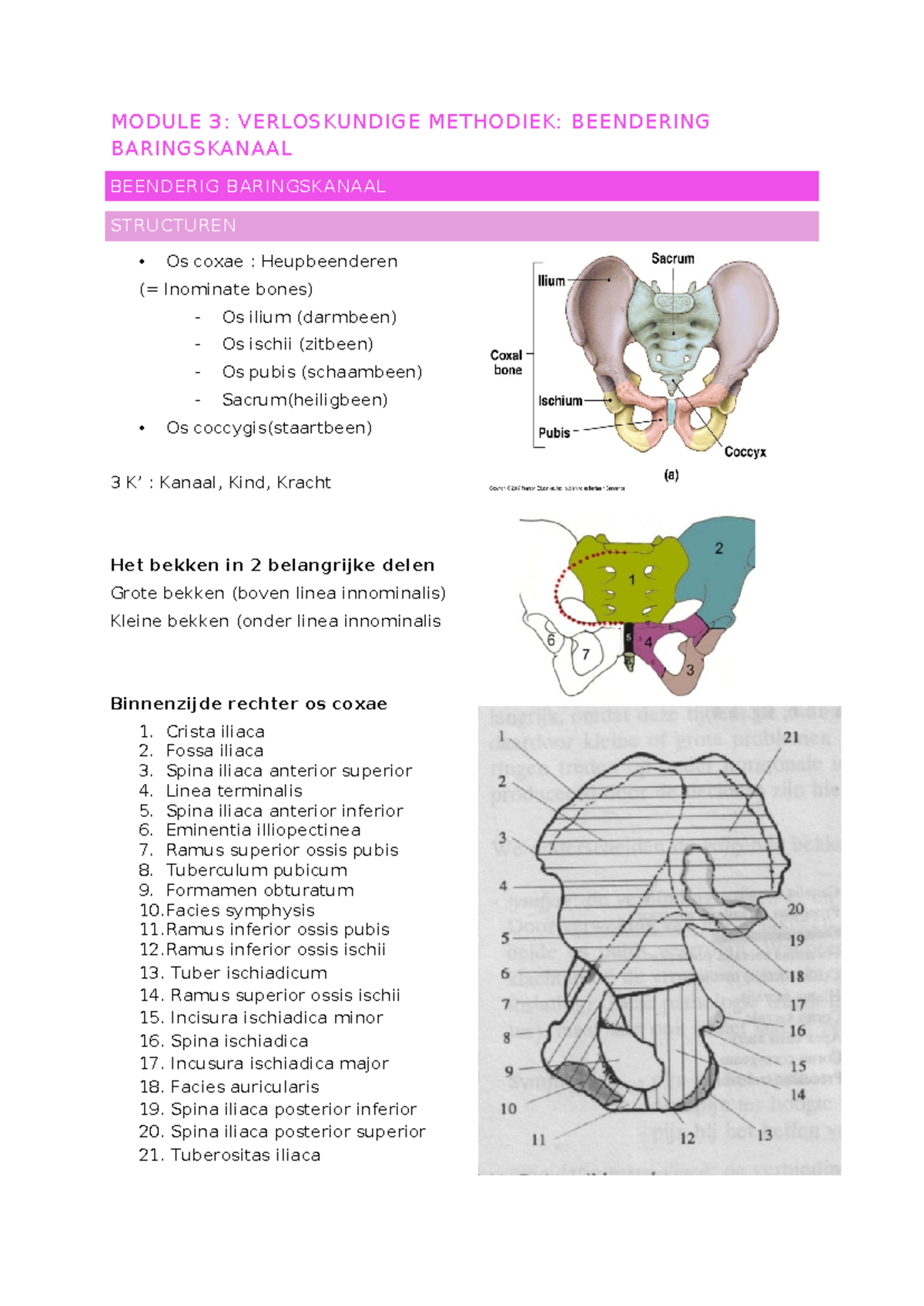 MODULE 3: SAMENVATTING BEENDERING BARINGSKANAAL EN ANATOMIE - Studocu
