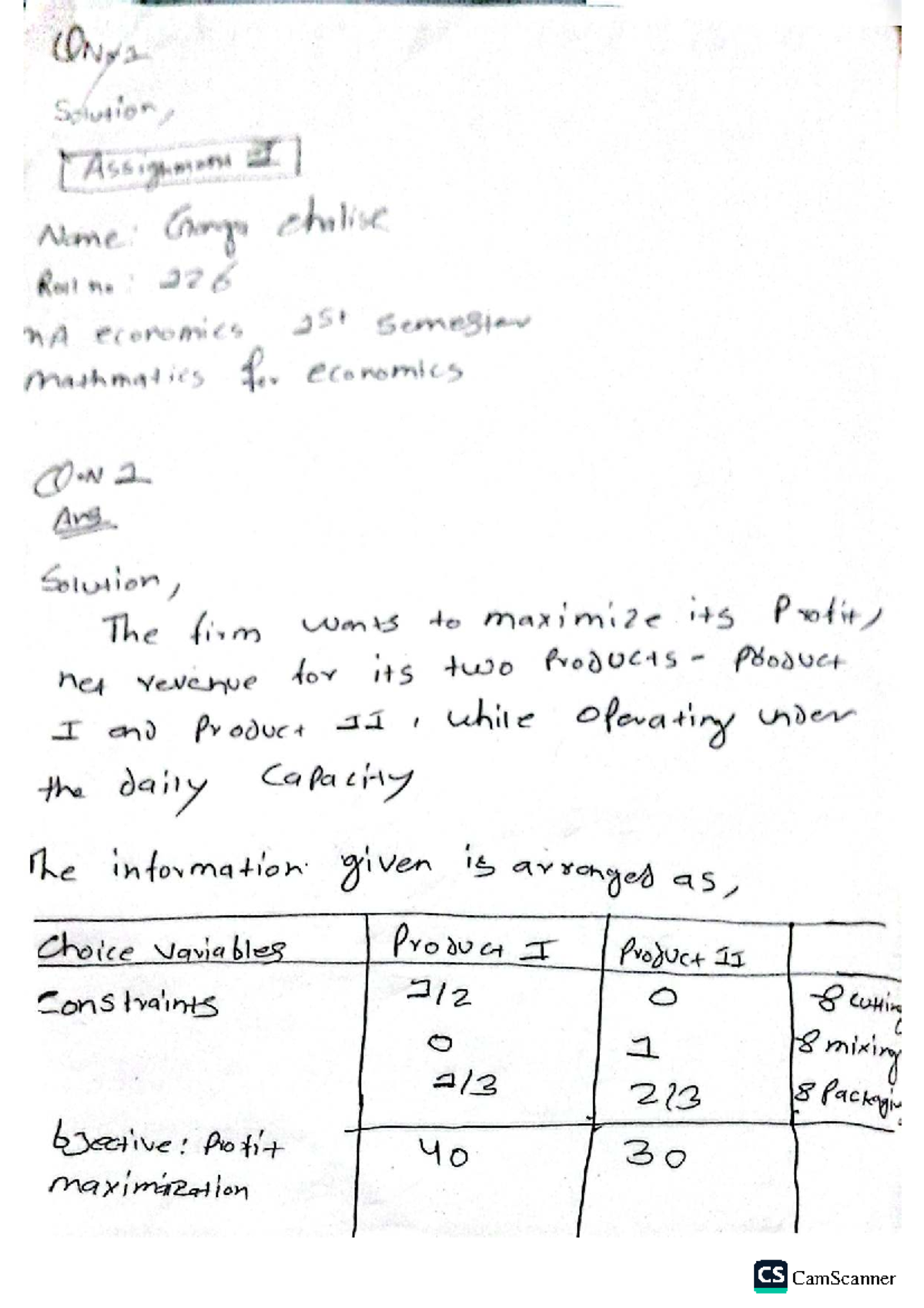 ONY2 Assignment: Profit Maximization in Economics (Math for Economics ...