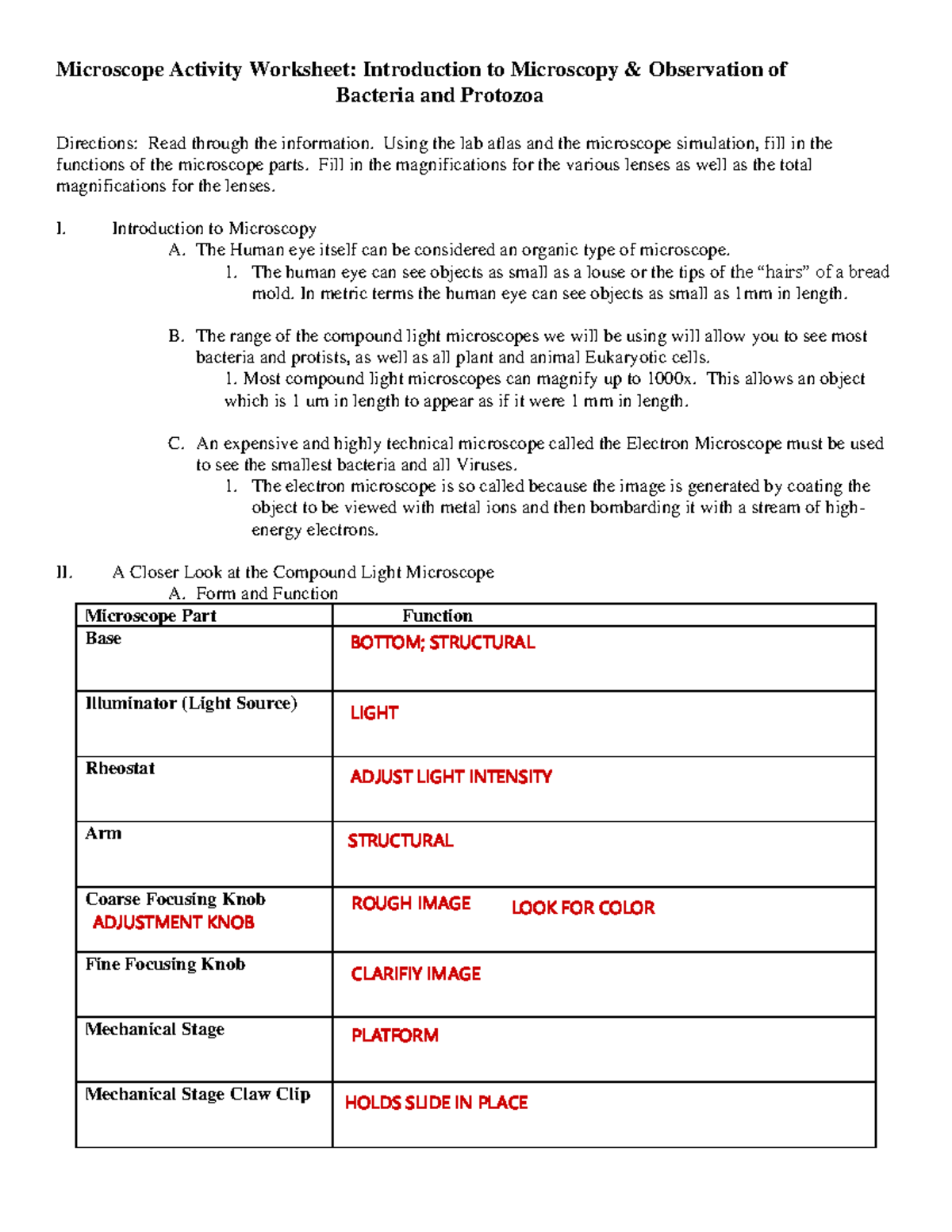 Microscope Lab Activity Worksheet: Observing Bacteria & Protozoa - Studocu