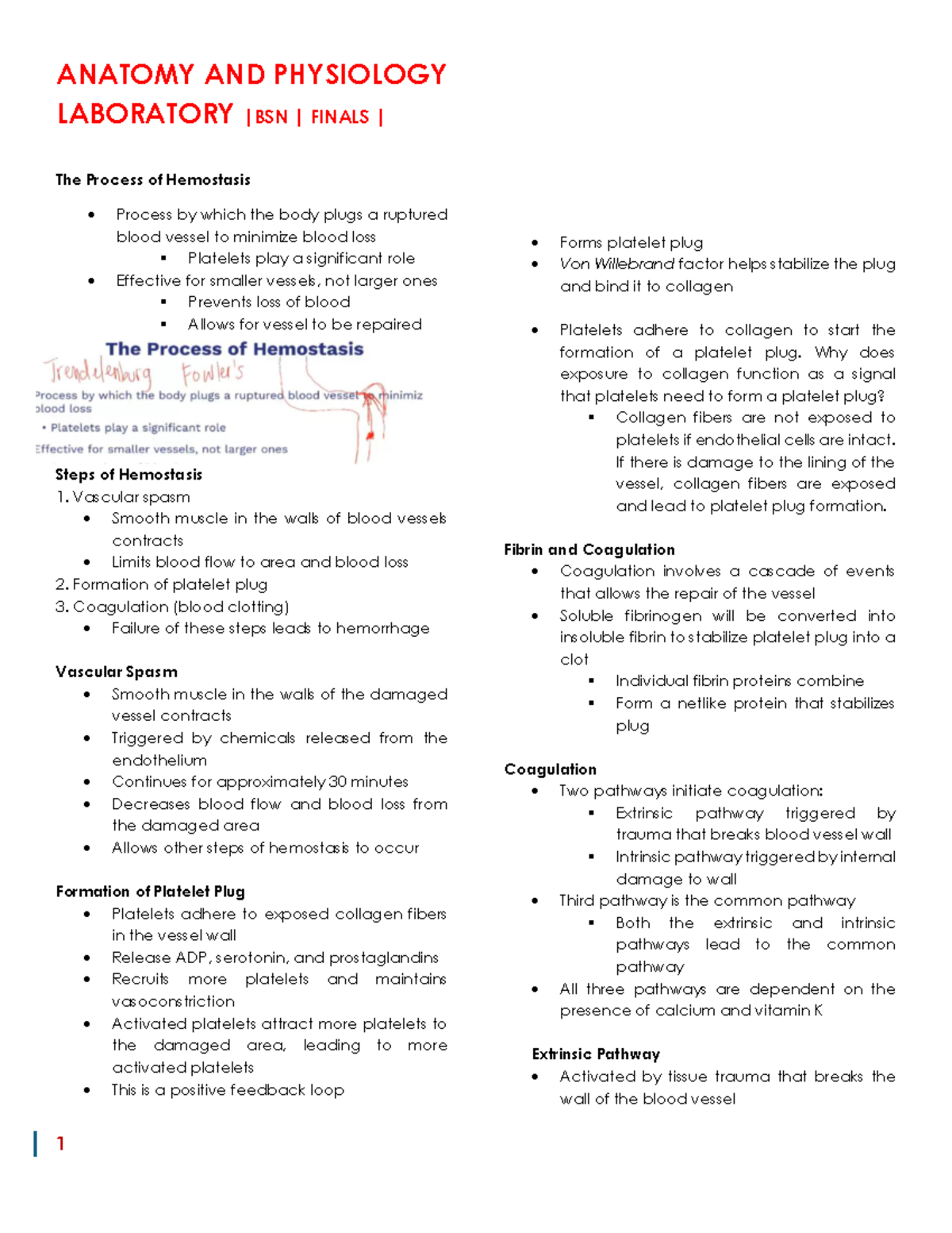 Anaphy Laboratory - ANATOMY AND PHYSIOLOGY LABORATORY |BSN | FINALS ...