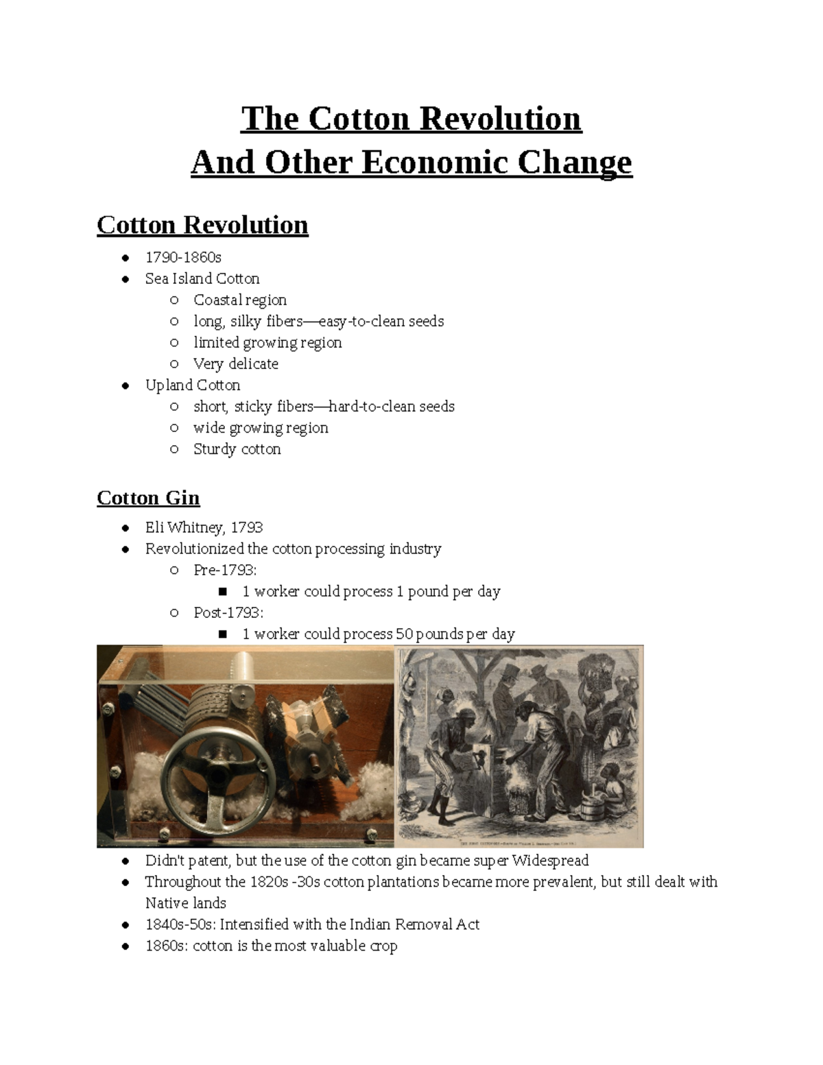11. The Cotton Revolution - The Cotton Revolution And Other Economic ...