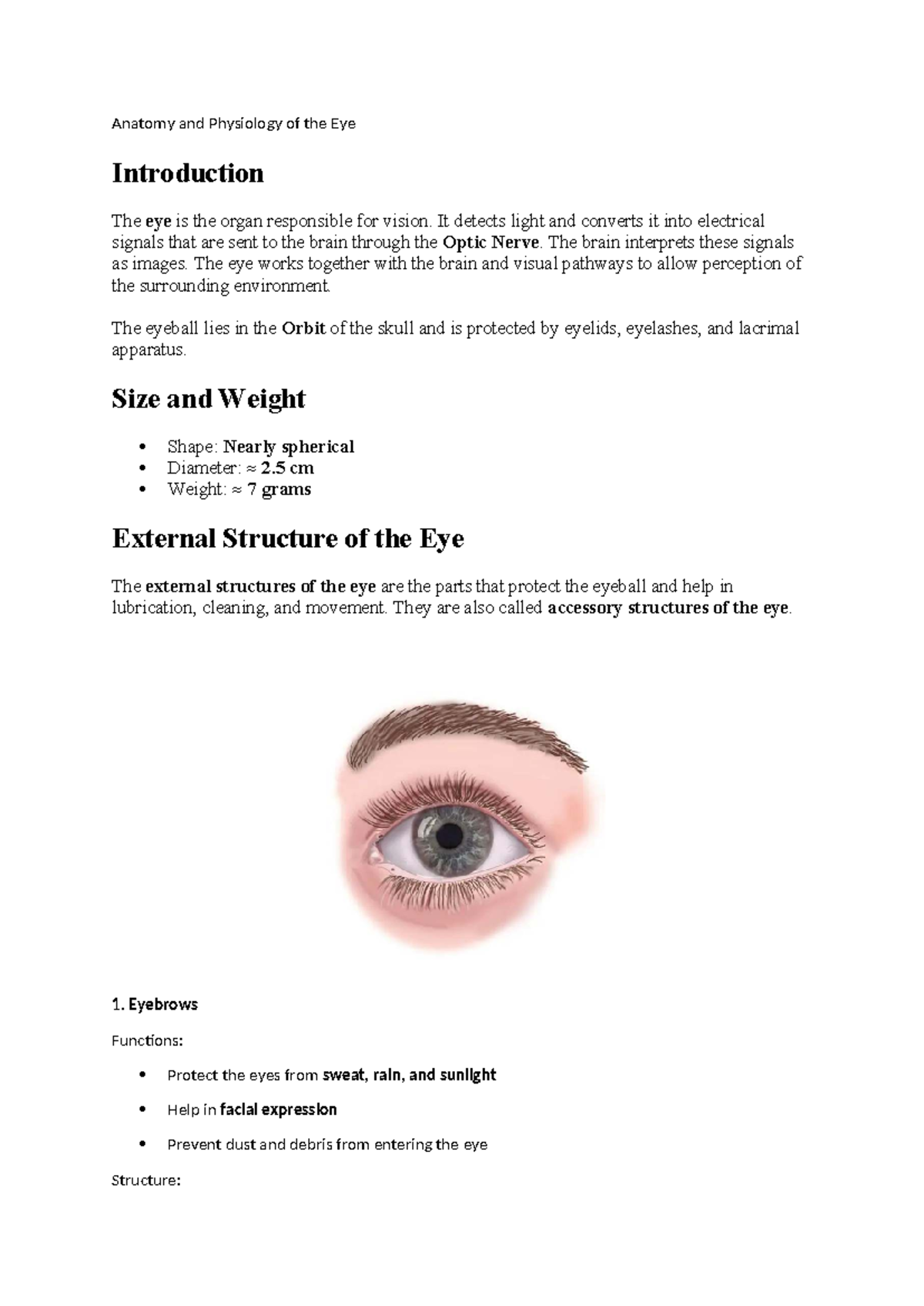 Anatomy & Physiology of the Eye: Detailed Overview and Functions - Studocu
