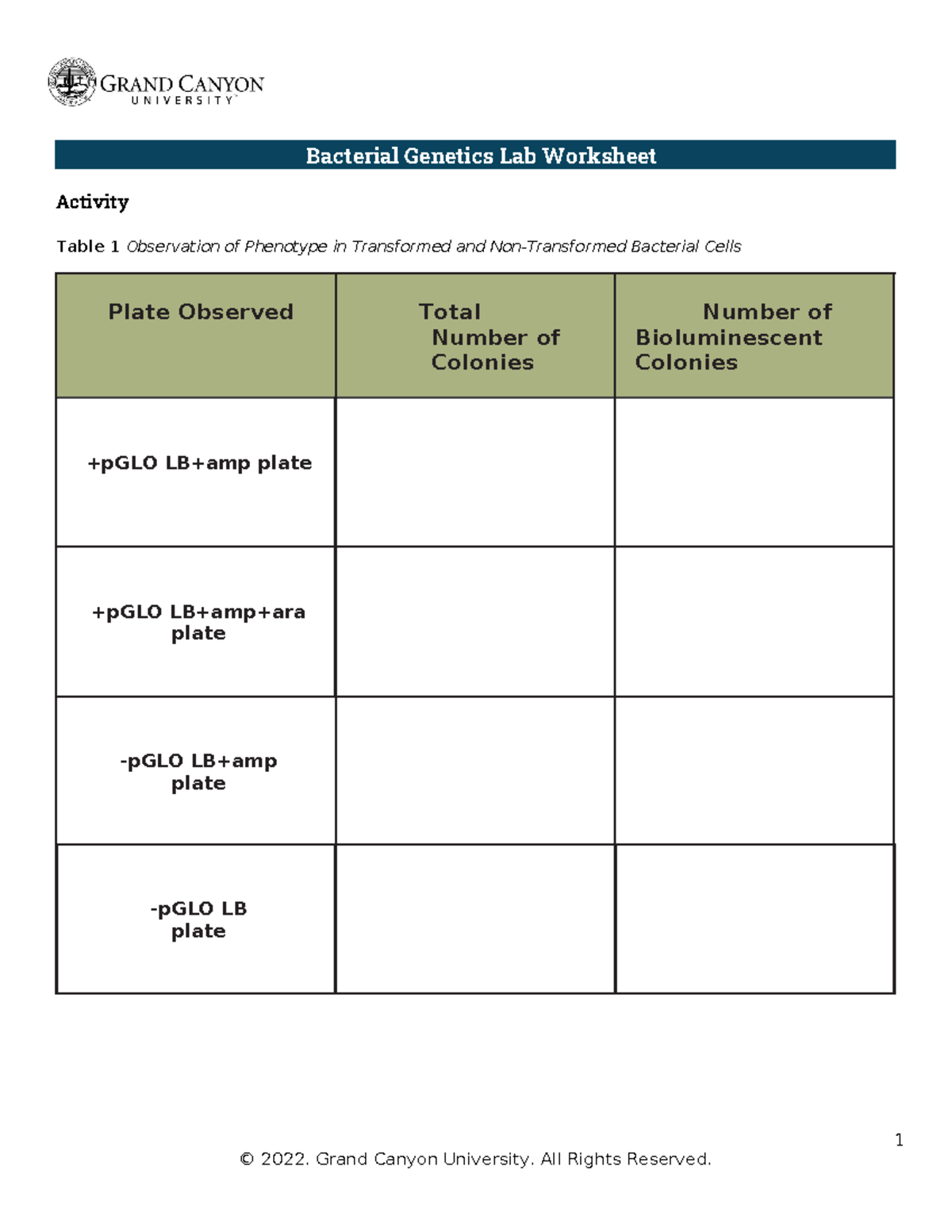 BIO 205L RS T4 - Lab Worksheet - Bacterial Genetics Lab Worksheet Activity Table 1 Observation ...