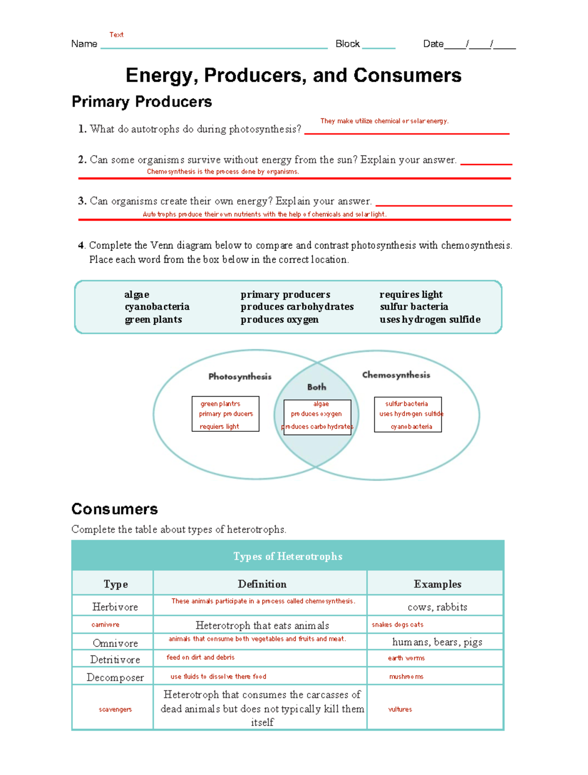 Energy Producers & Consumers Worksheet: Understanding Ecosystems - Studocu