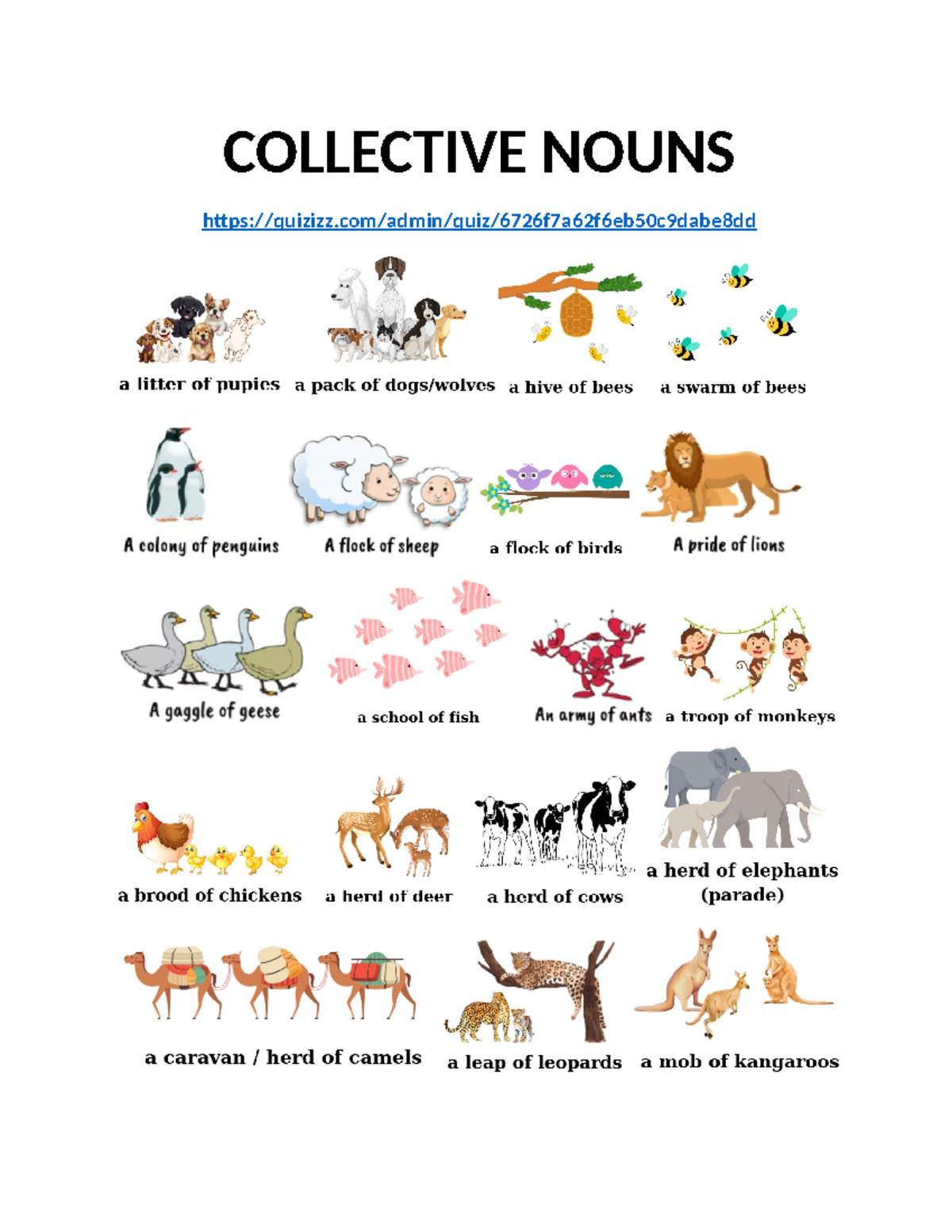 Collective Nouns - english for homework - COLLECTIVE NOUNS - Studocu