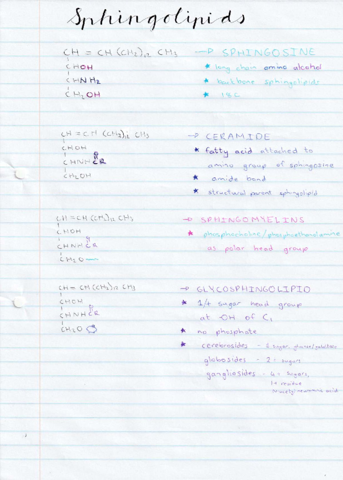 BCM257 Sphingolipids - Summary Introductory Biochemistry - a t{ = CF ...