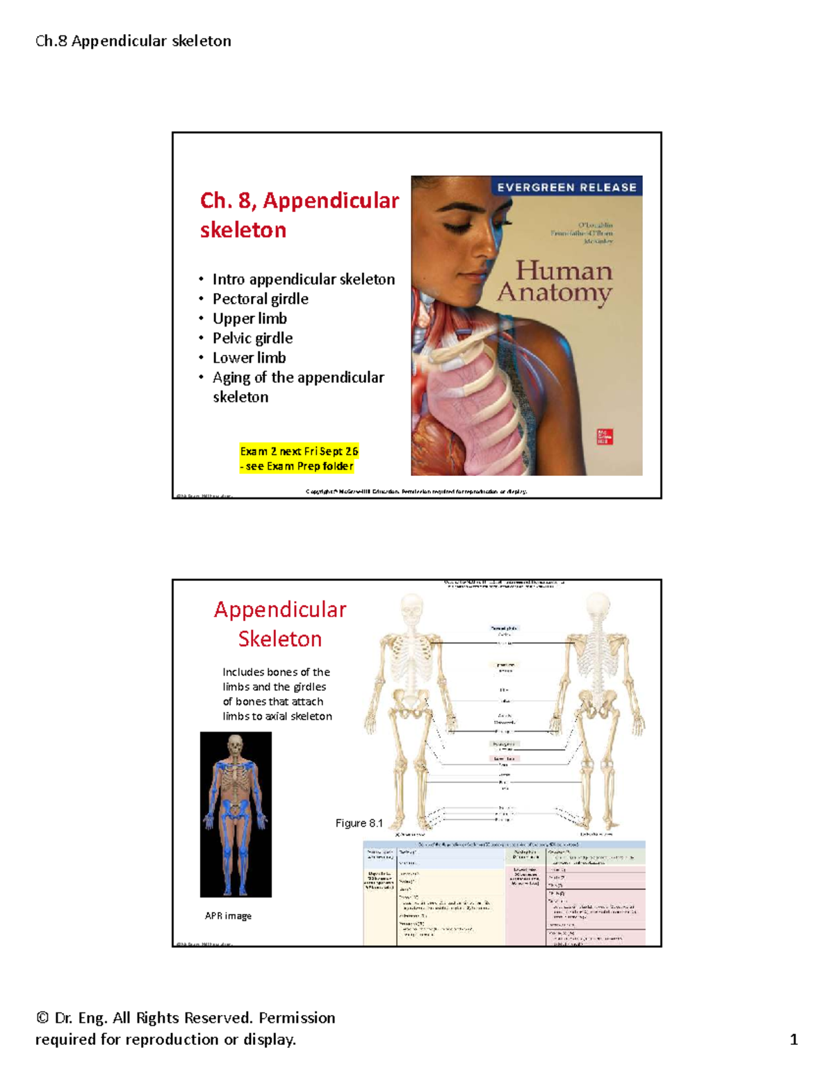 Ch. 8 Appendicular Skeleton: Overview & Key Features for Exam 2 - Studocu