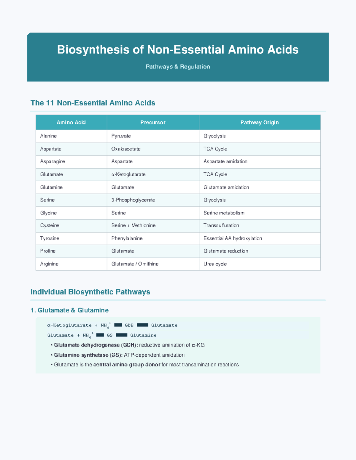 Amino Acid Biosynthesis Pathways Regulation: A Comprehensive Overview ...