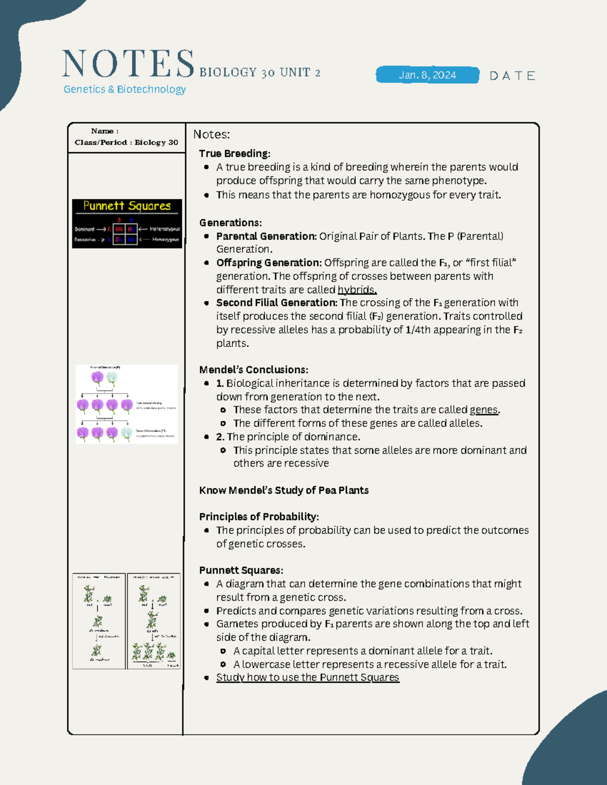 Biology 30 Final Exam Study Notes: Genetics & Biotechnology Unit 2 ...