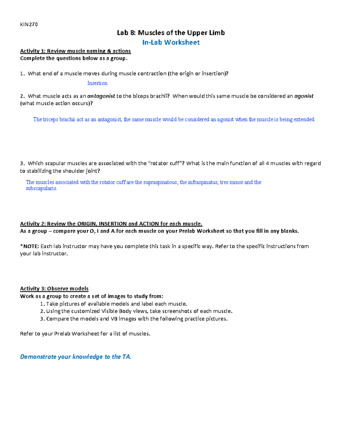 KIN 270 Lab 8 In-Lab Worksheet: Muscles of the Upper Limb Overview ...