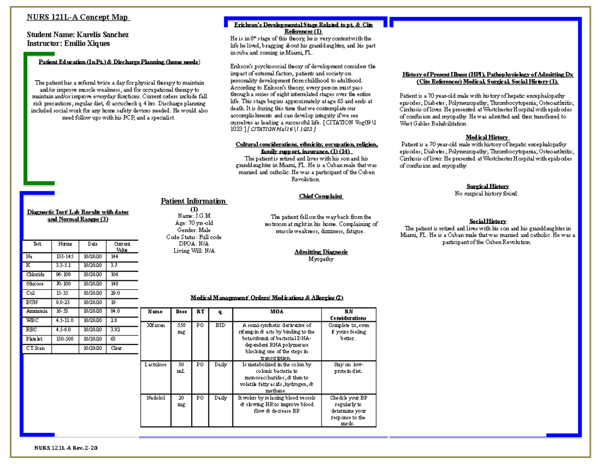 Concept Map - Active Learning Template - NURS Concept Map Developmental ...