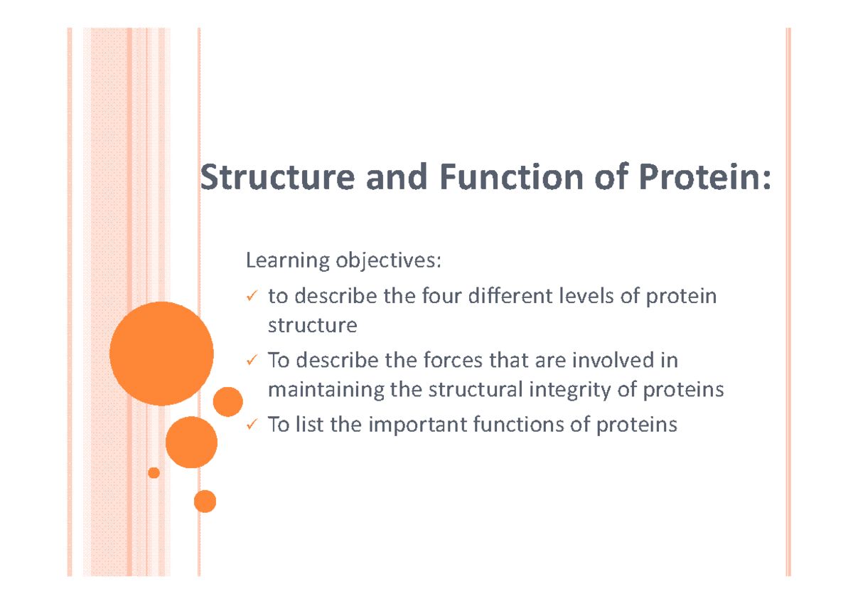 02 Structure and Function of Proteins: Levels, Bonds and Functions ...