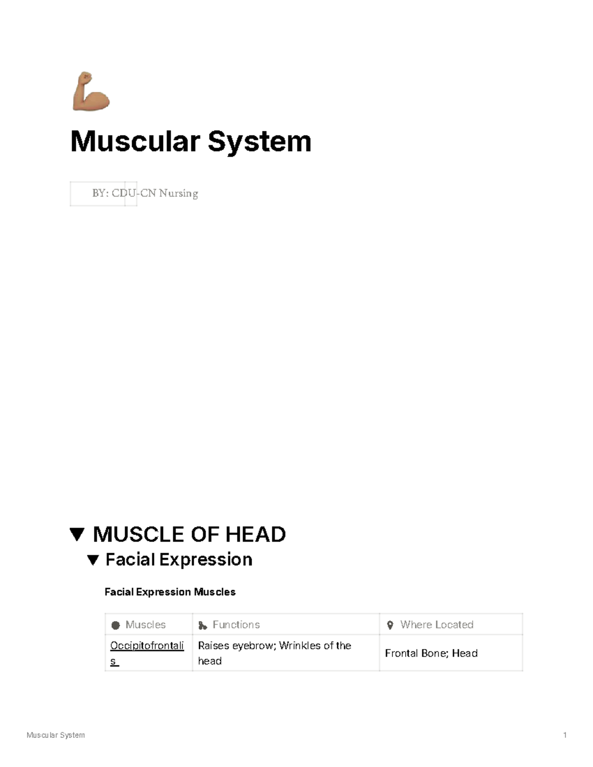 Muscular System: Head and Neck Anatomy - Nursing Study Guide - Studocu