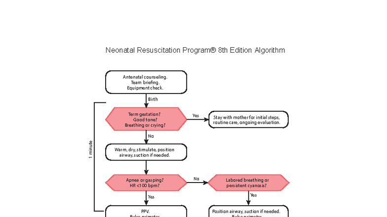 NRP 8th Ed: Neonatal Resuscitation Algorithm & Guidelines - Studocu
