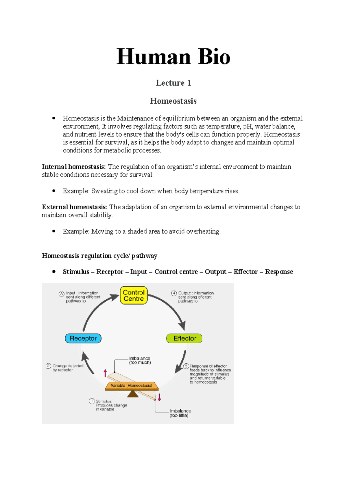 Human Bio 1108 - Lecture Notes on Homeostasis and Regulatory Systems ...