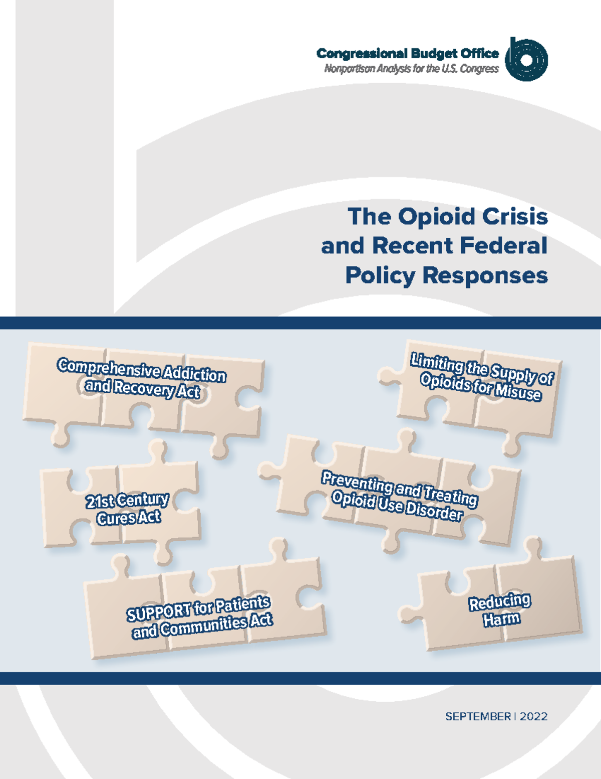 The Opioid Crisis: Federal Policy Responses and Impacts (58221) - Studocu