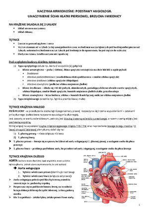 Stawy kończyny górnej - Staw mostkowo-obojczykowy Typ stawu: kulisty ...