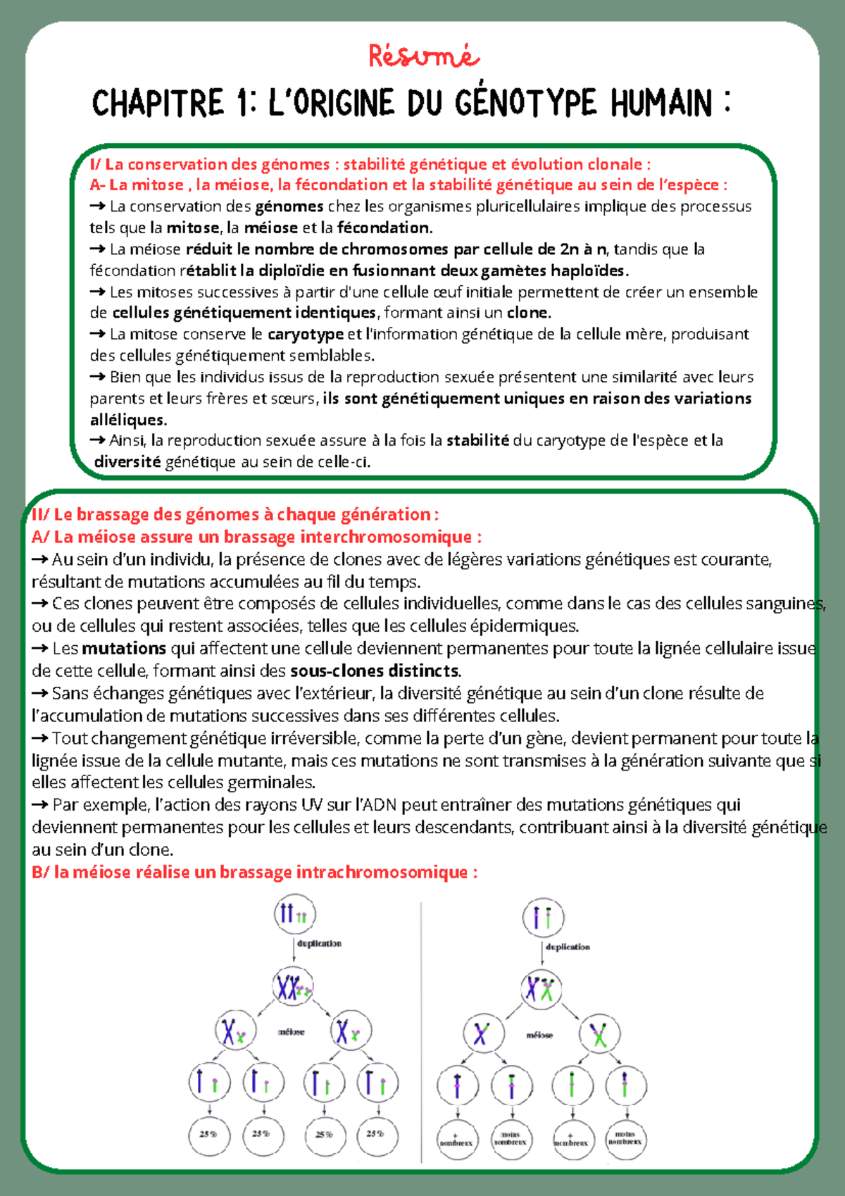 Génétique : Résumé des Concepts Clés en Biologie Génétique - Studocu