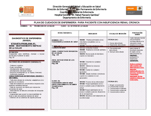 Los 15 correctos en administración de medicamentos - Los 15 correctos ...