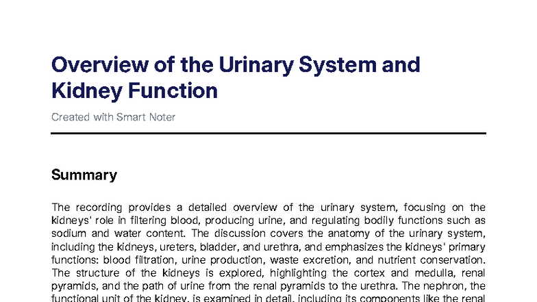 Urinary System Overview & Kidney Function - Important Insights - Studocu