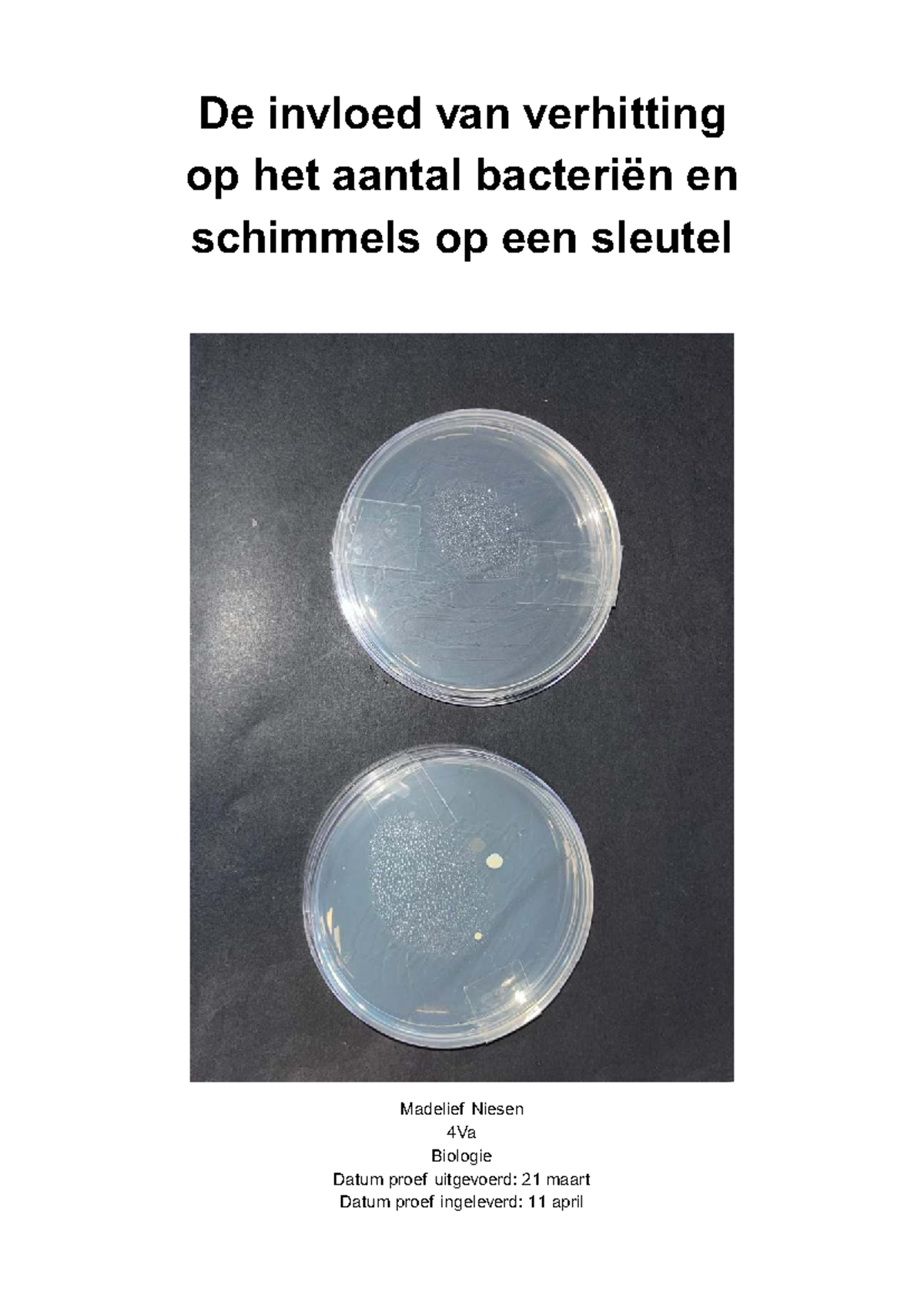 Practicumverslag: Effect van Verhitting op Bacteriën en Schimmels (4Va ...