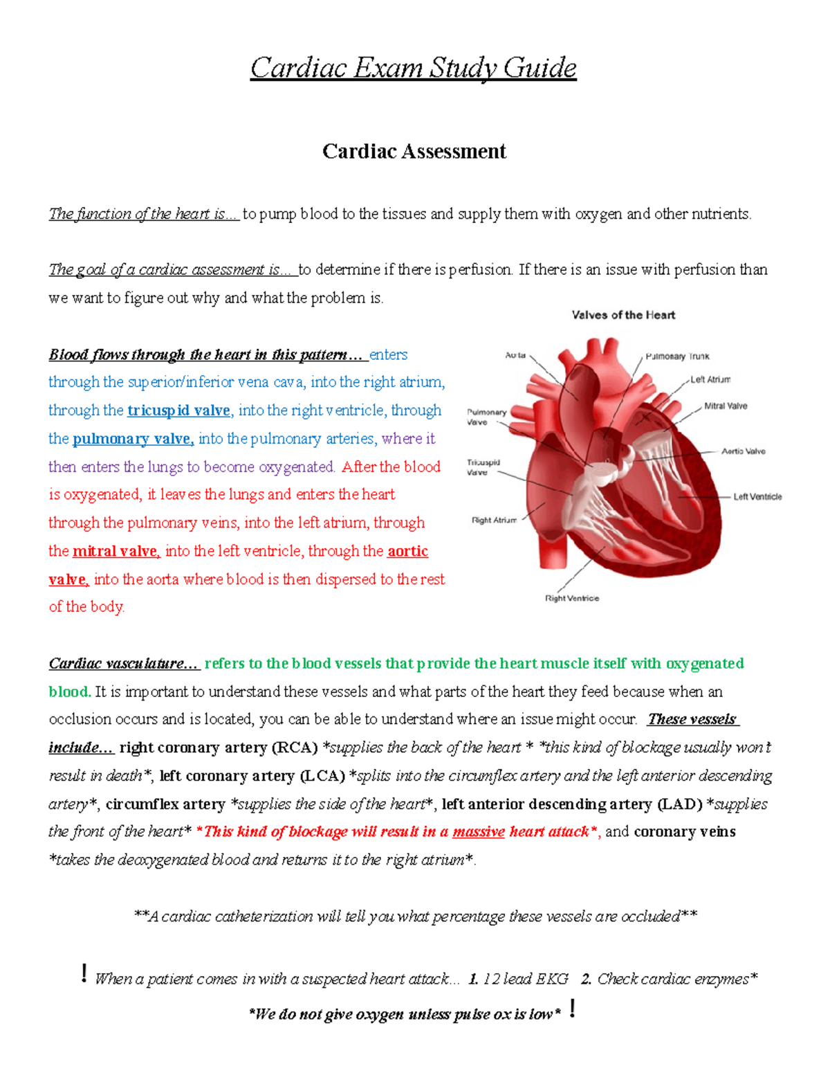 Cardiac Assessment Exam Study Guide (Course Code: CAR-301) - Studocu