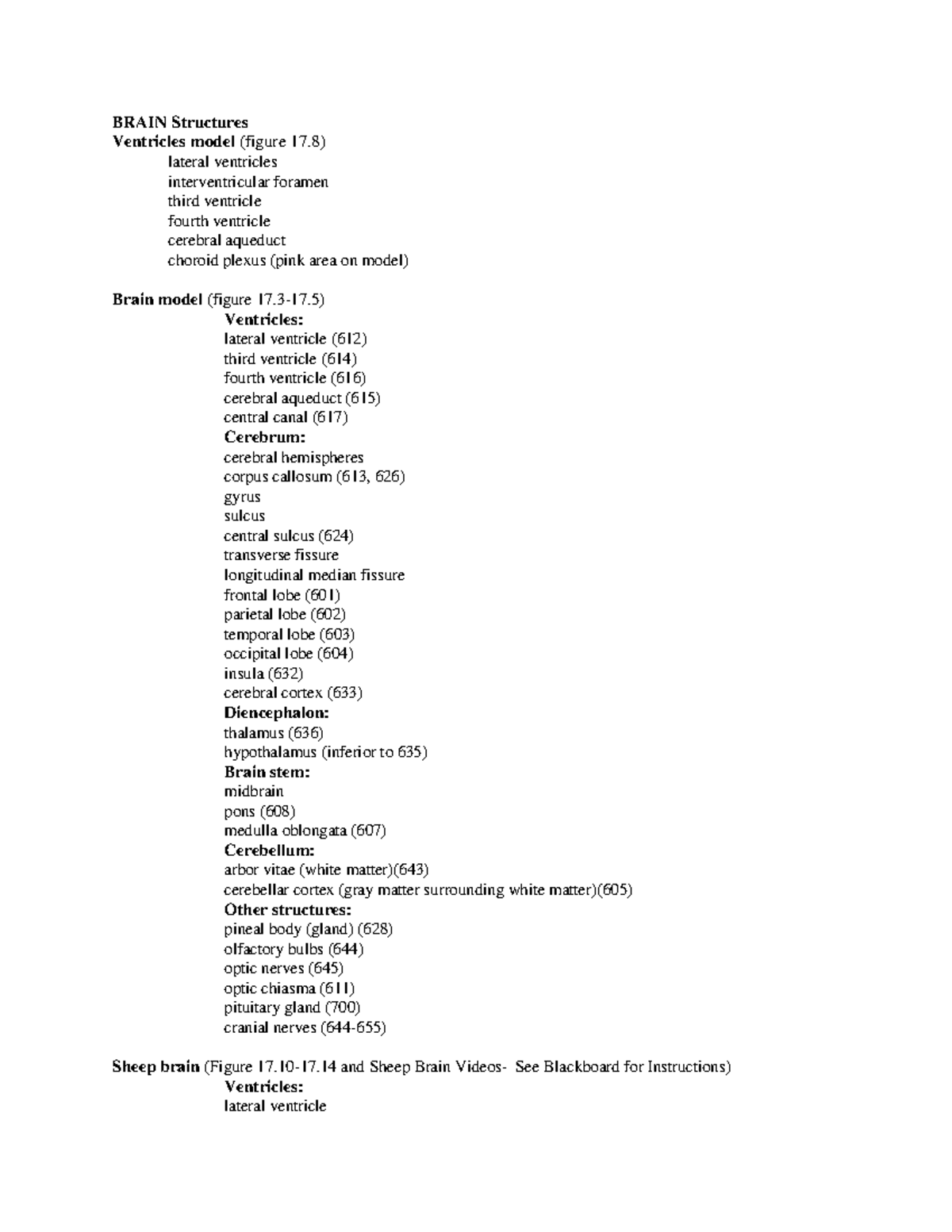 BRAIN 32 Study Guide: Ventricles & Structures Overview - Studocu