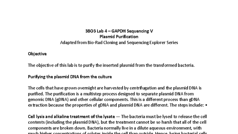 3B03 Lab 4 - Plasmid Purification and GAPDH Sequencing - Studocu