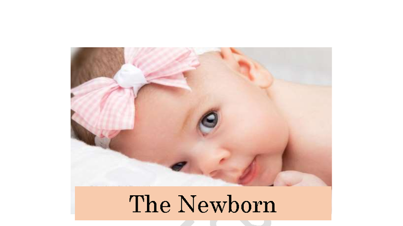 Newborn Profile: Anthropometric Measurements & Physiological ...