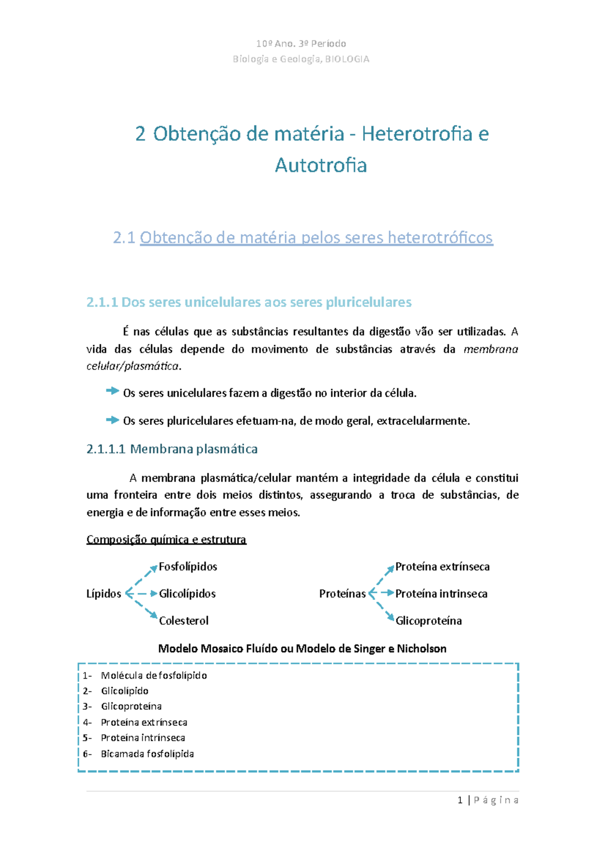 BIOLOGIA 2 - Obtenção de Matéria: Heterotrofia e Autotrofia Resumo ...