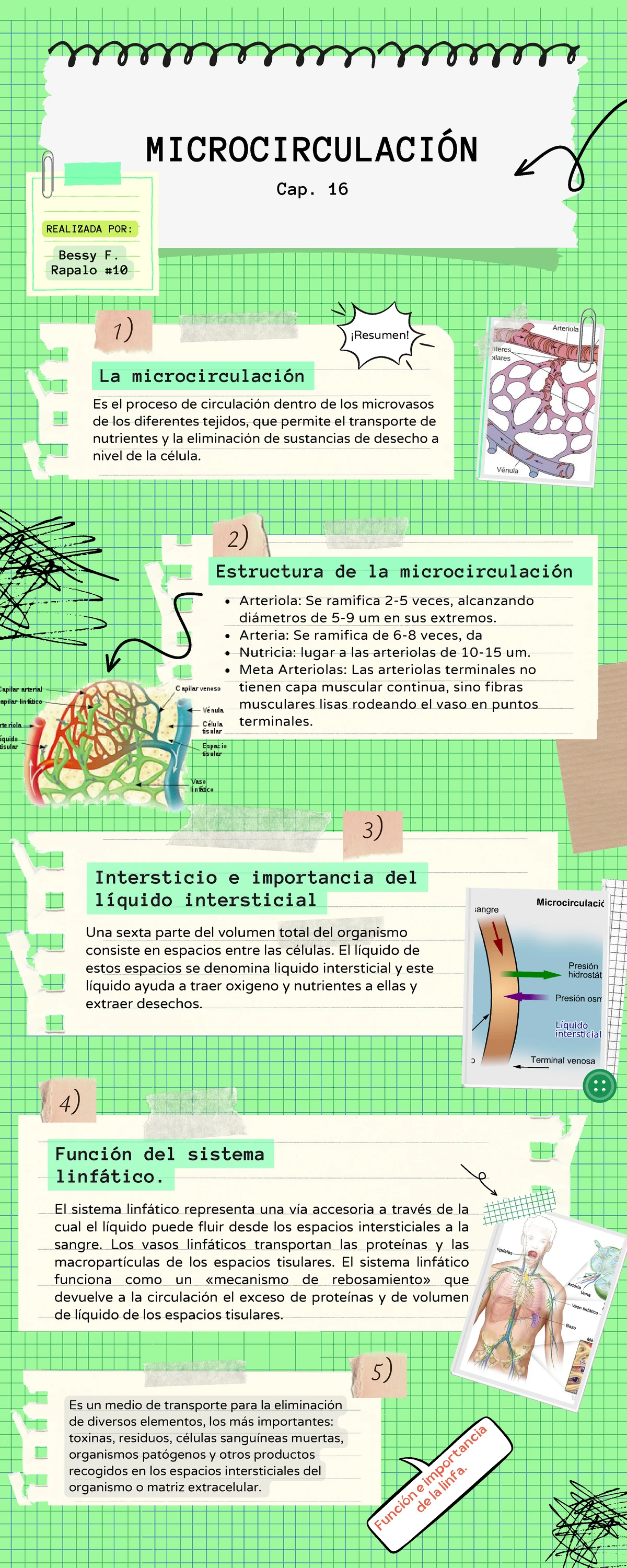 Tusivanz Compuesto y Jarabe: Indicación y Dosis Médica - Studocu